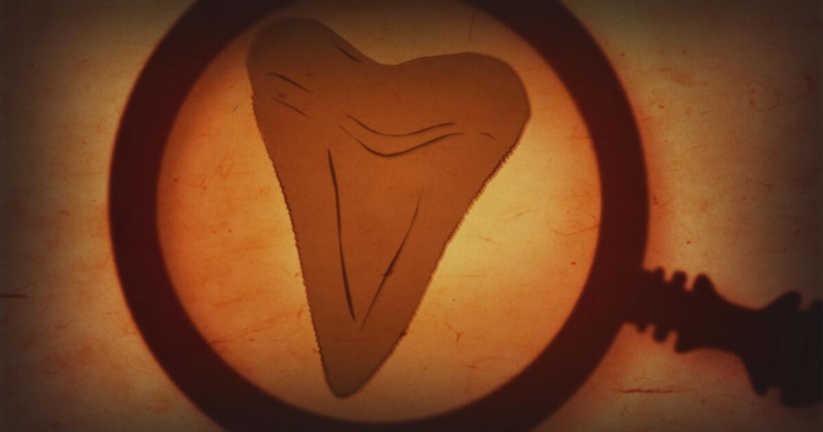 Watch What Can Fossil Teeth Tell Us? | Your Inner Fish | PBS SoCal