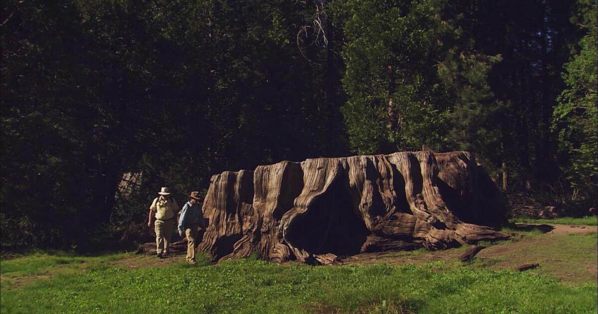 Watch Medieval Drought In The Southwest | The Desert Speaks Season 16 ...