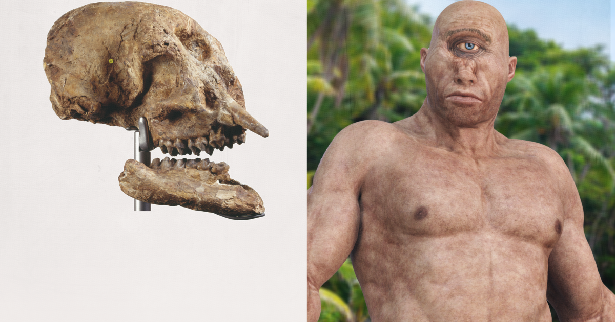 Watch Were These Monsters Inspired by Fossils? | Eons Season 2 | PBS SoCal