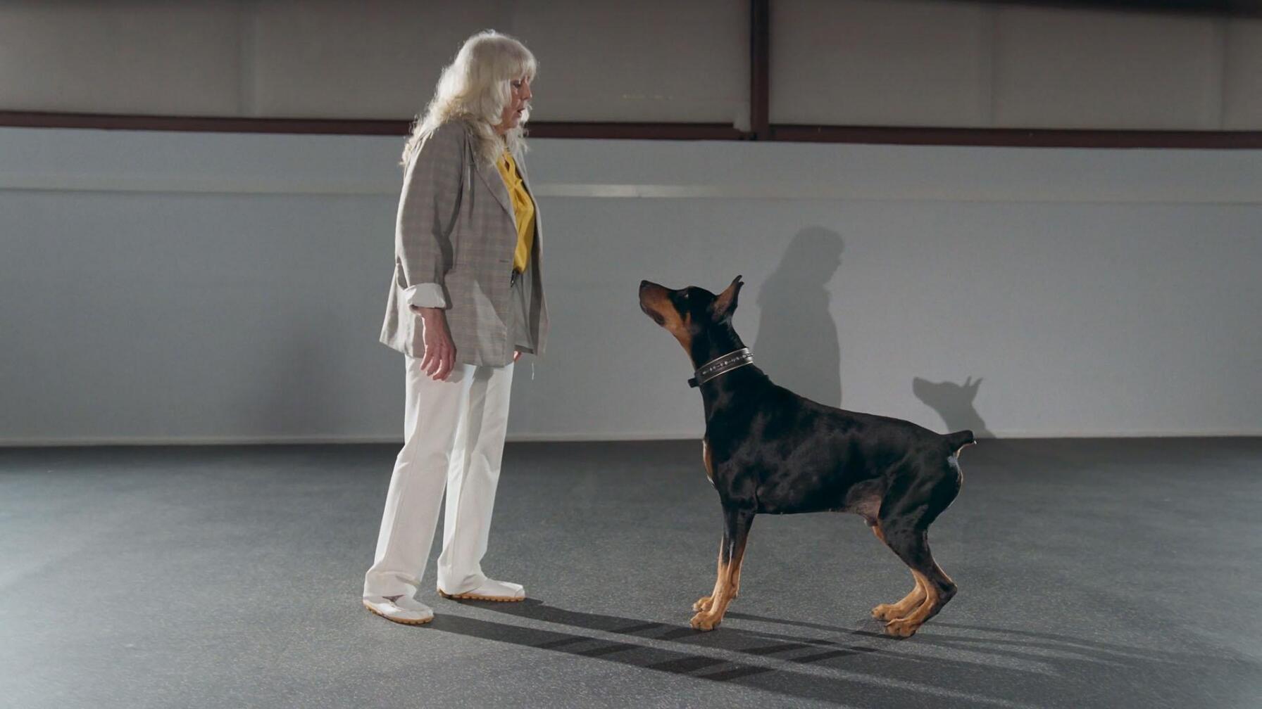 Stream Human Footprint Seasons & Full Episodes | PBS SoCal