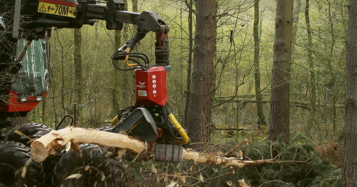 Watch Forest Feedback Loop | Earth Emergency | PBS SoCal