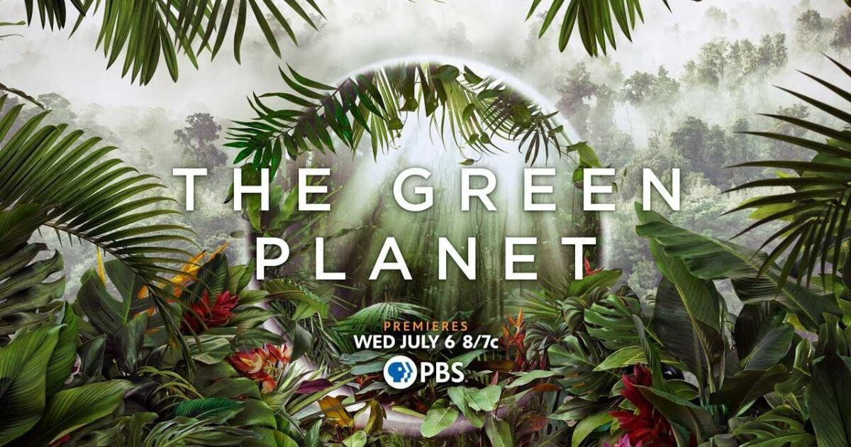 Watch Preview: The Green Planet - Teaser | The Green Planet Season 1 ...