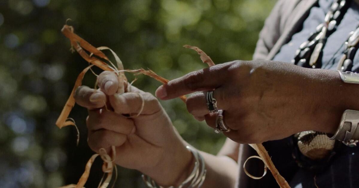 Watch Indigenous Land Stewardship | Tending Nature | PBS SoCal