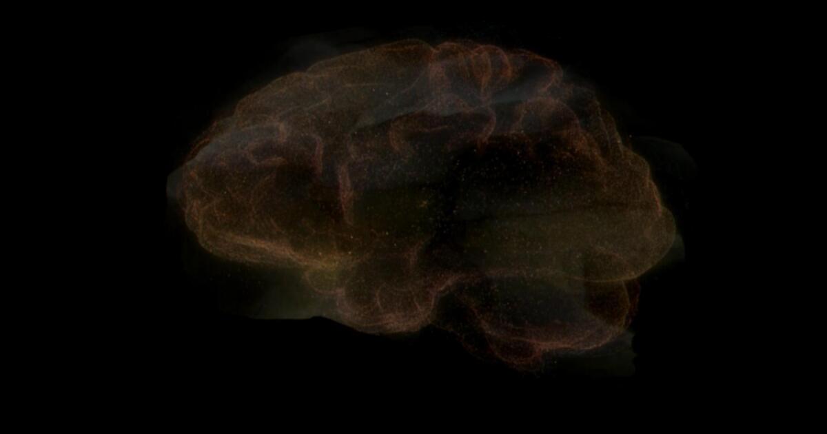 Watch Episode 1 | How the Brain Creates Reality | The Brain with David ...