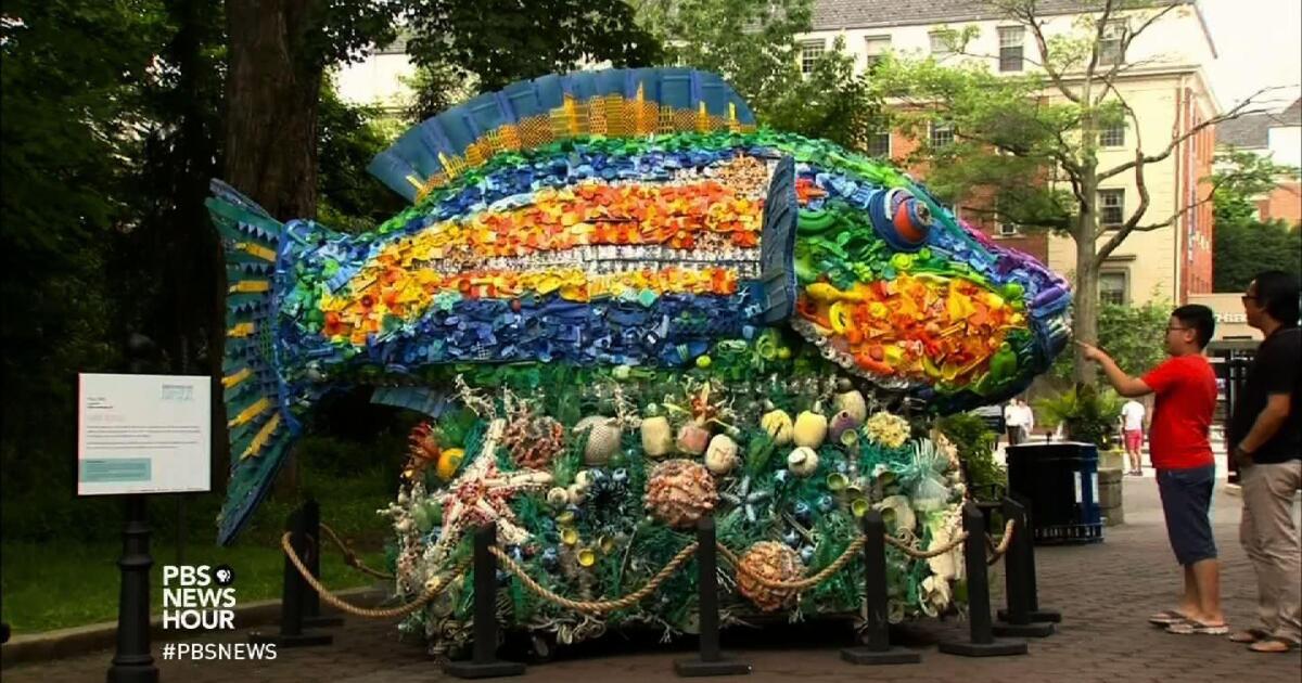 Watch Turning plastic ocean pollution into sea-saving art | PBS ...