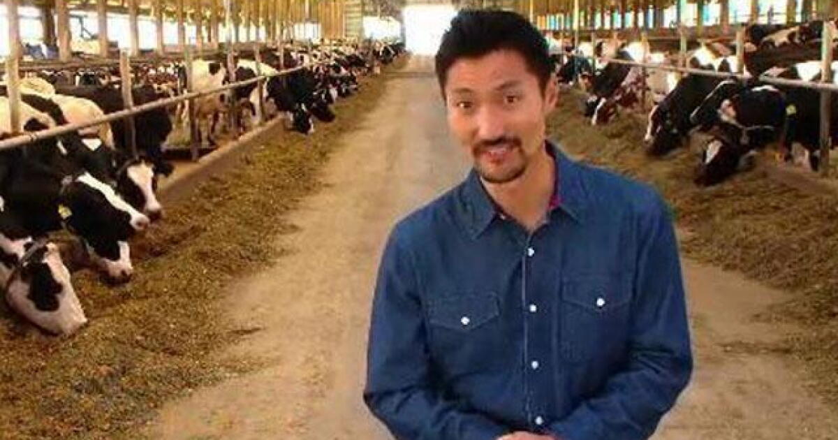 Watch Preview: America Revealed tease - Cow Power | America Revealed ...