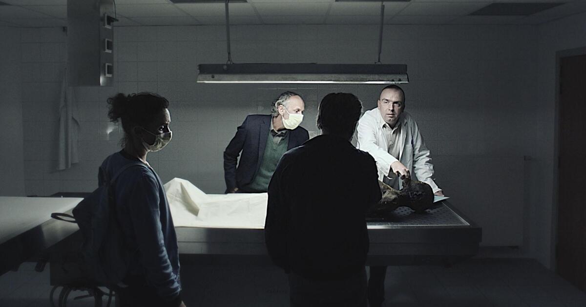 Watch The Reveal | Professor T (Belgium) Season 3 | PBS SoCal