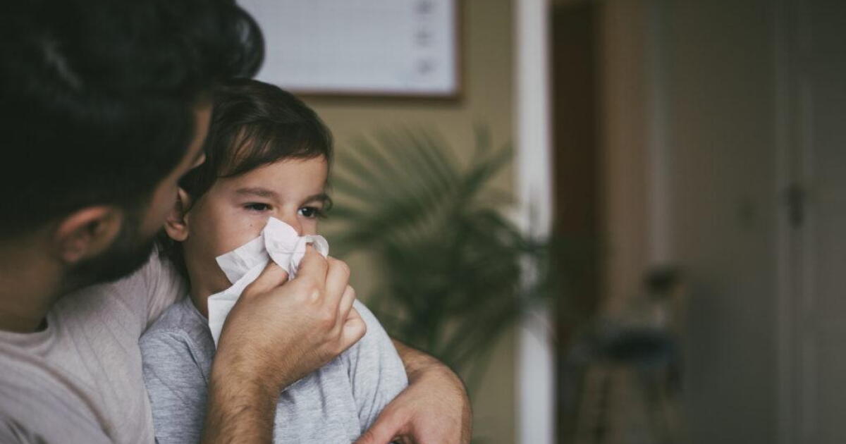 Watch The connection between cold weather and catching a cold | PBS ...