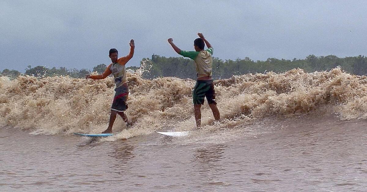 Watch Pororoca: Brazil’s Famous Wave | In the America's with David ...