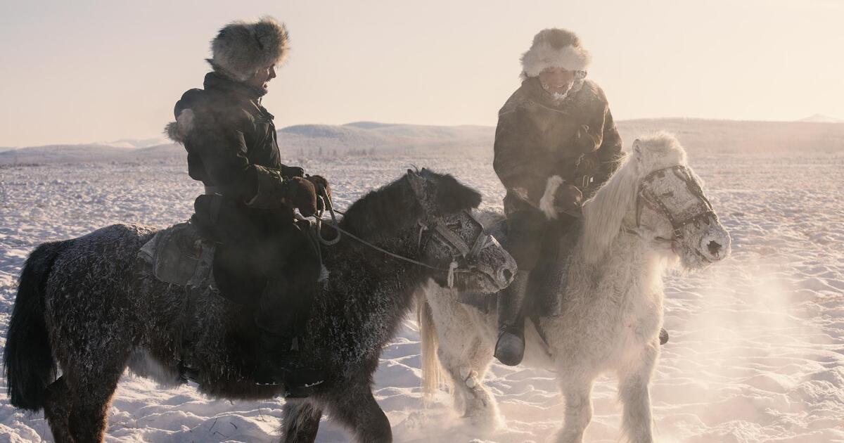 Watch Equus On Location | Nature | PBS SoCal