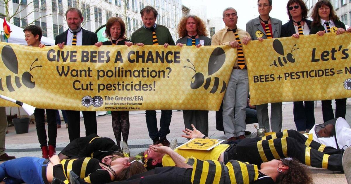 Watch Saving America's Pollinators | Earth Focus | PBS SoCal