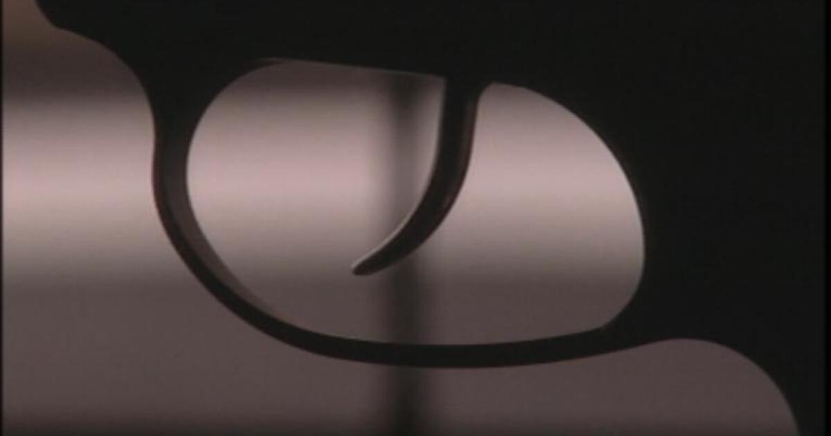 Watch Preview: "Gunned Down: The Power of the NRA" - Preview ...