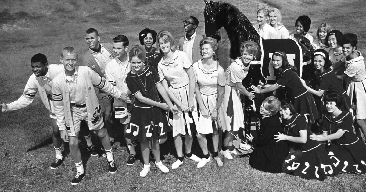 Watch Can We All Get Along? | Can We All Get Along? The Segregation of ...